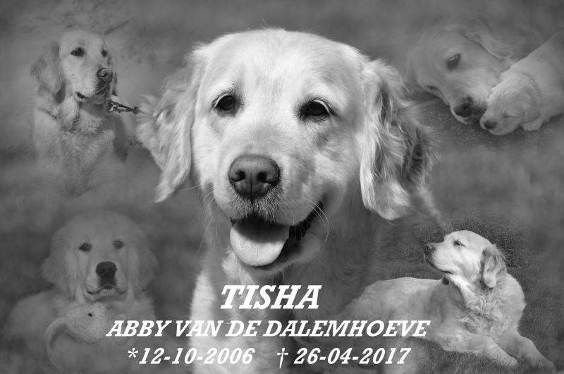 In memoriam – Of Golden Nature